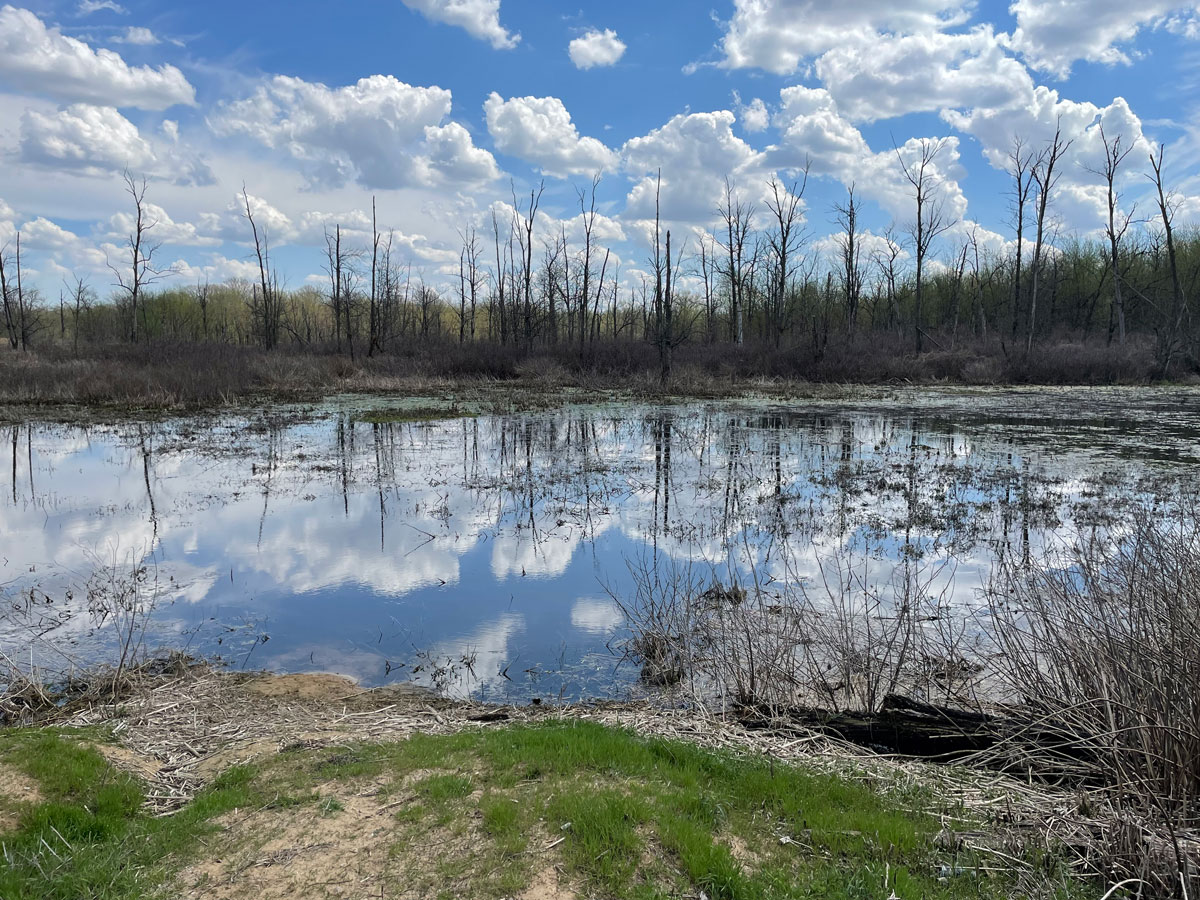 DNR: Fish & Wildlife: History of Kankakee Fish & Wildlife Area DNR: Fish & Wildlife: History of Kankakee Fish & Wildlife Area