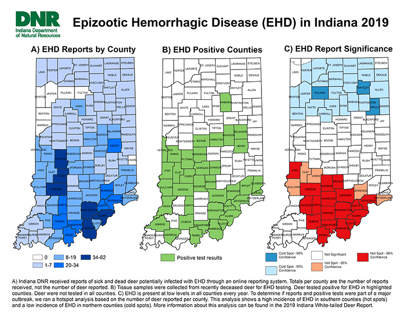 DNR: Epizootic Hemorrhagic Disease (EHD)