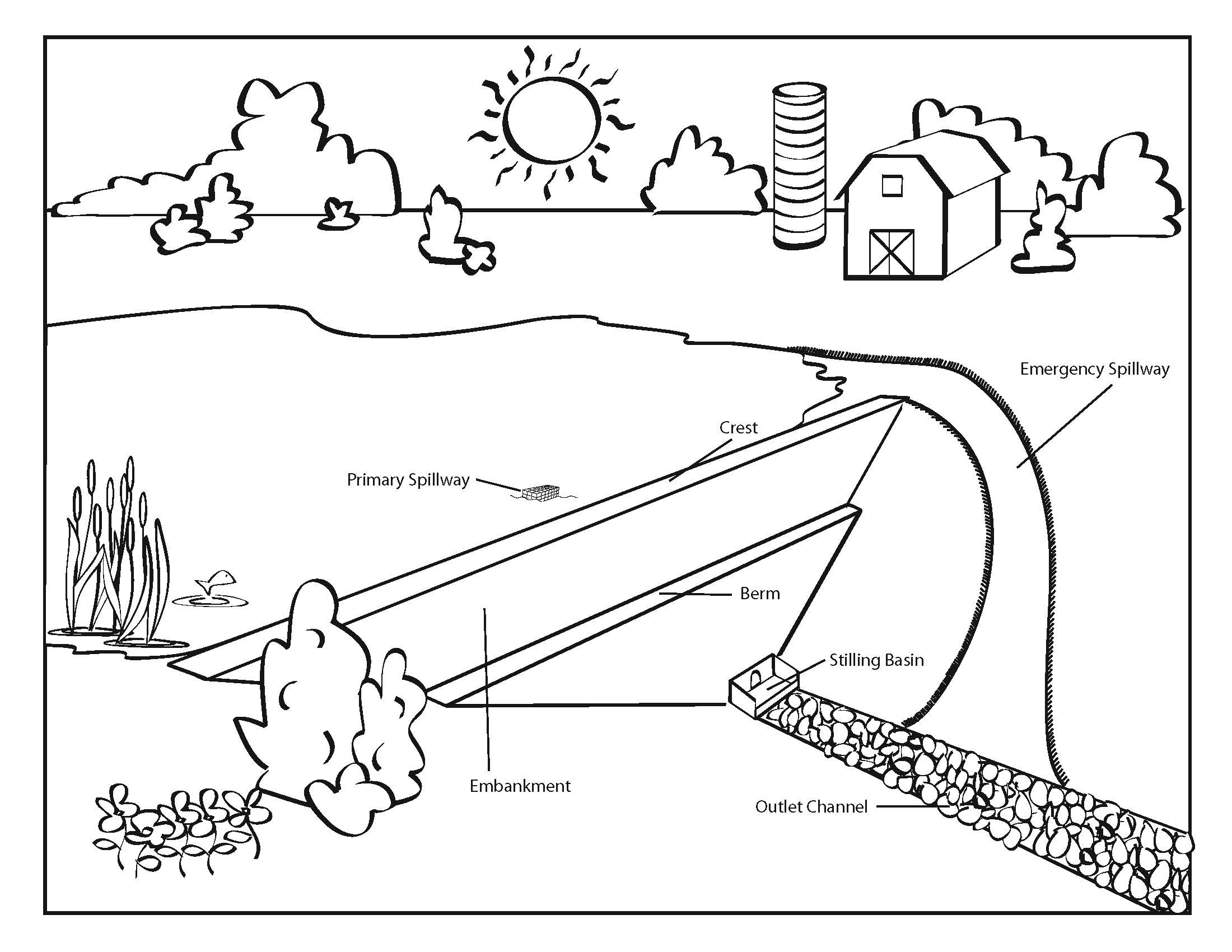 DNR: DNR Kids Learning & Activities: Coloring