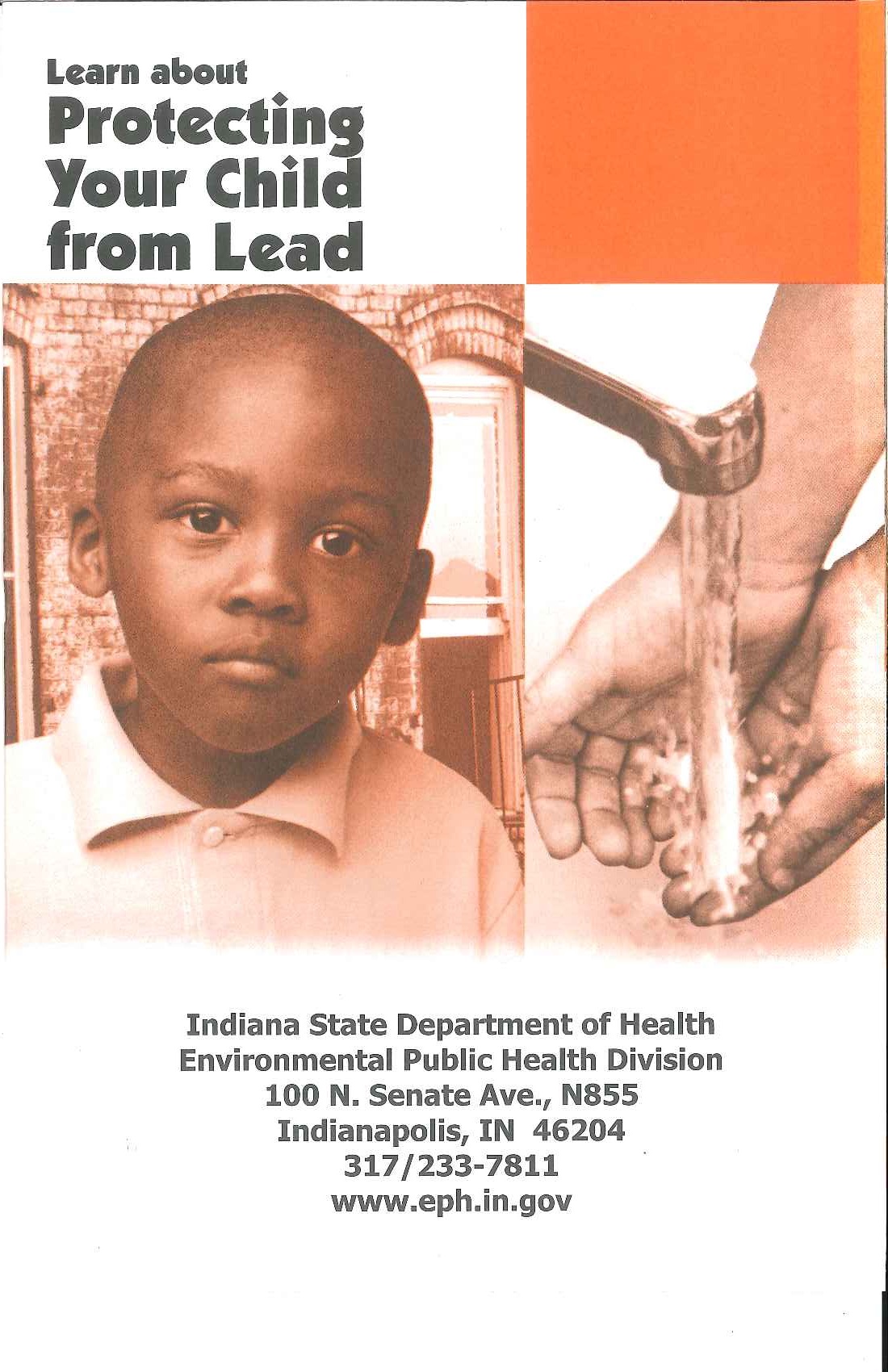 Health: Lead & Healthy Homes Division: Publications
