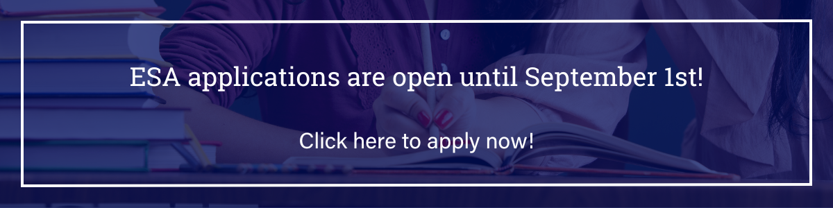 Treasurer: INESA: Home